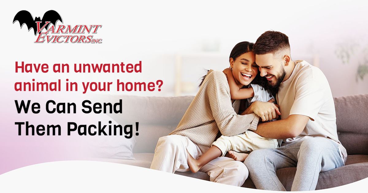 Grand Rapids Wildlife Removal | Varmint Evictors, Inc.