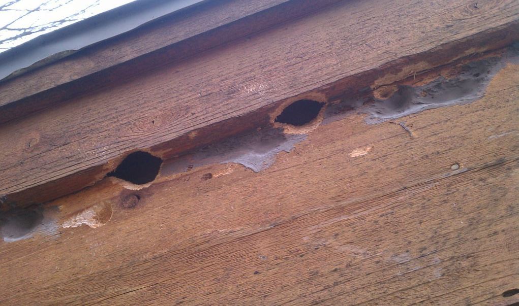 Gallery of Destruction